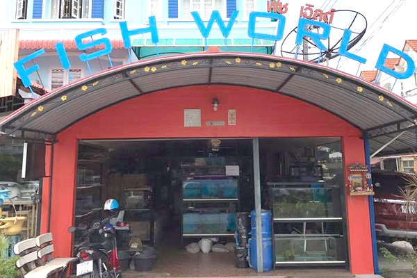 Fish World Phuket - Phuket.Net