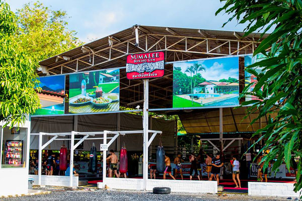 Sumalee Boxing Gym - Phuket.Net