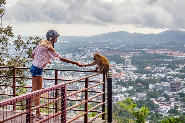 Monkey Hill - Phuket.Net