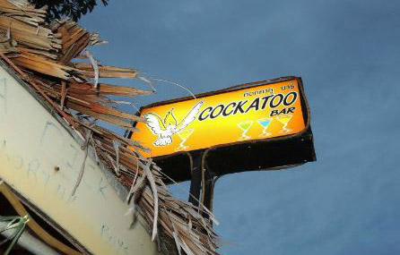 Cockatoo Bar Patong - Phuket.Net