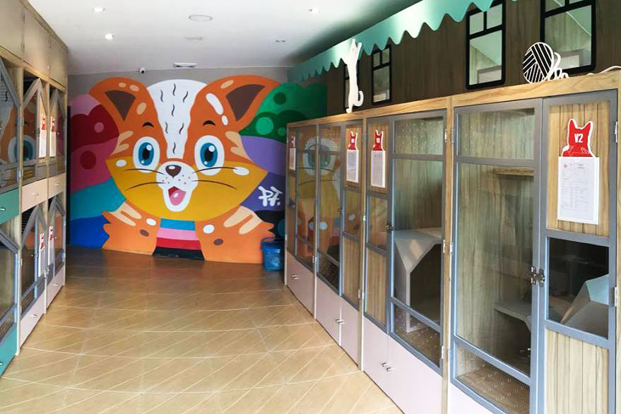 PIPC Phuket International Petcare Center - Phuket.Net