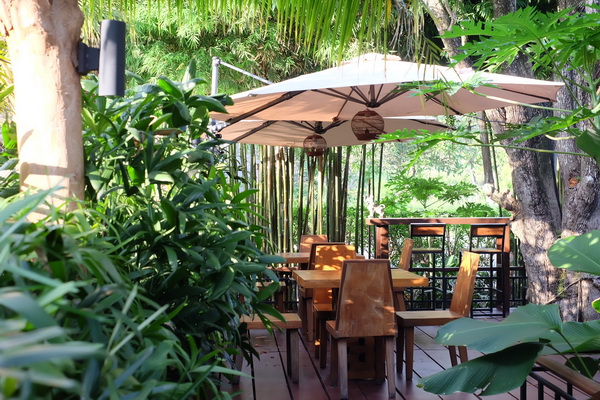 TARA Cafe - Phuket.Net