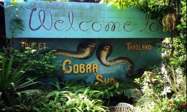 Phuket Business Directory - Phuket.Net