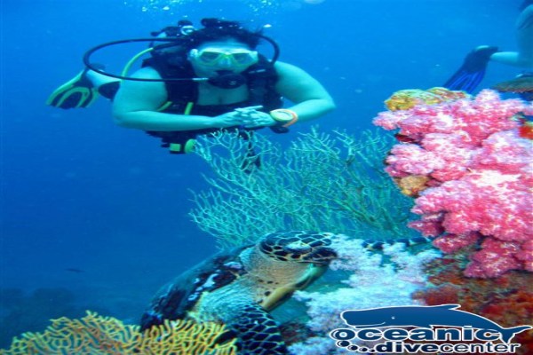 Oceanic Divecenter - Phuket.Net