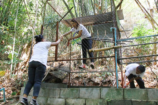 Gibbon Rehabilitation Project - Phuket.Net