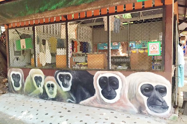 Gibbon Rehabilitation Project - Phuket.Net