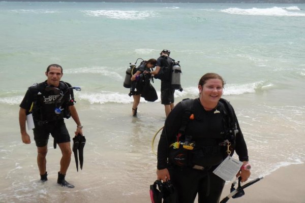 Shell Diving - Phuket.Net
