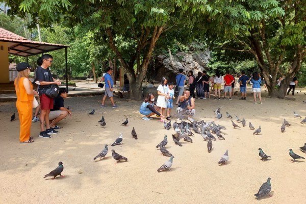 Mari Tour Phuket - Phuket.Net