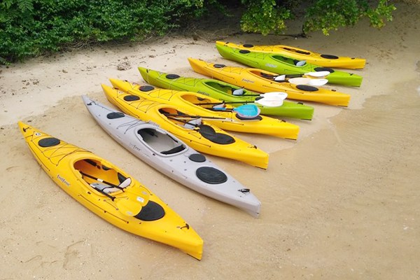 Paddle Asia - Phuket.Net