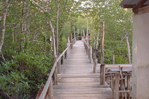 Paklok Sub-District Municipality Office - Phuket.Net