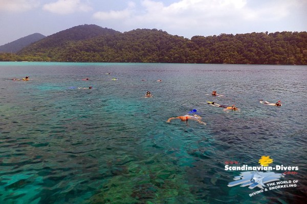 Scandinavian-Divers.com - Phuket.Net