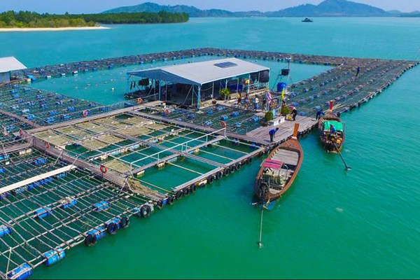 Phuket Pearl Factory - Phuket.Net