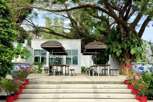 Monkeypod Coffeehouse - Phuket.Net