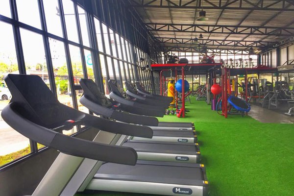 Body Gym Phuket - Phuket.Net