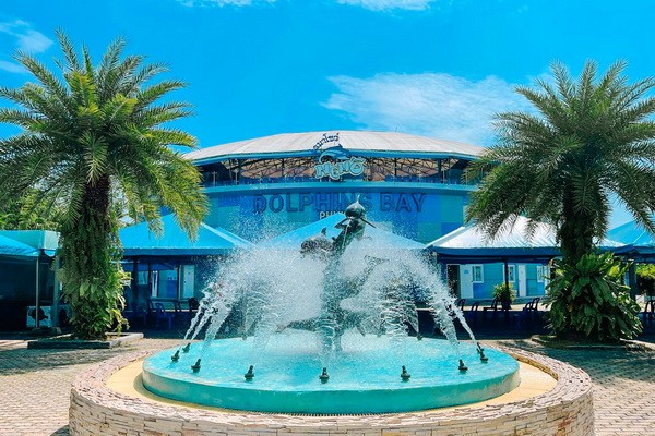 Dolphins Bay Phuket - Phuket.Net