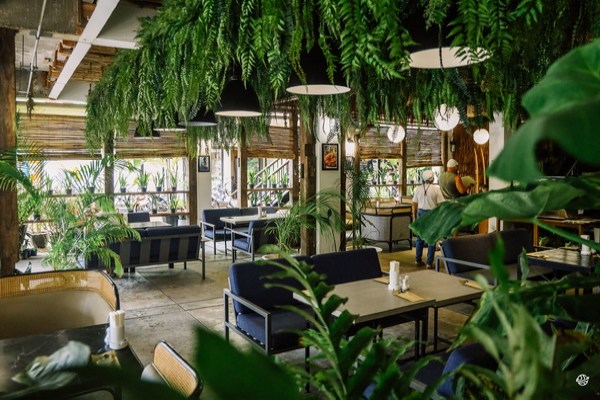 KIRI Burger & Bowl - Phuket.Net