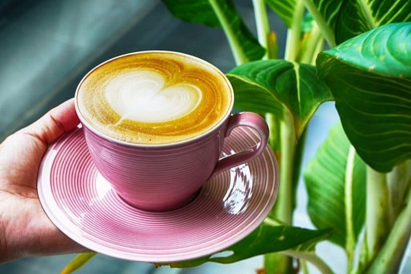 Go Fresh Cherngtalay - Phuket.Net