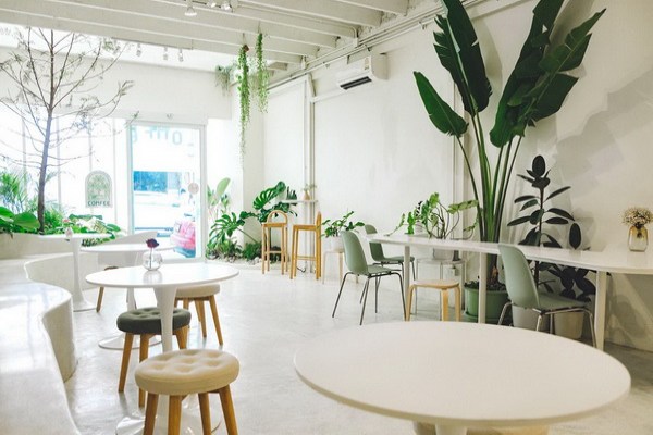 Comfee Phuket - Phuket.Net