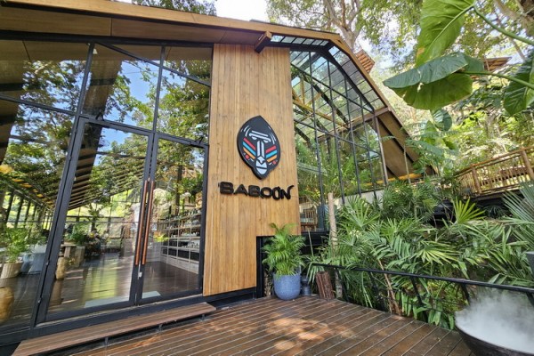 Baboon Phuket - Phuket.Net