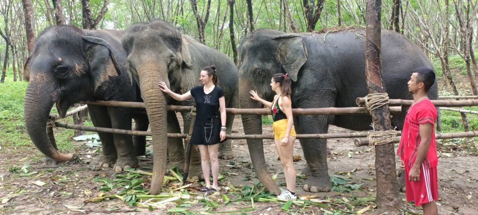 From Phuket: Khaolak Elephant Sanctuary Tour, Walk,and Lunch - Phuket.Net