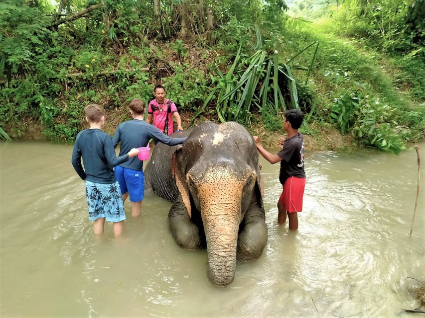 From Phuket: Elephant & Sea Turtle Conservation Private Tour - Phuket.Net