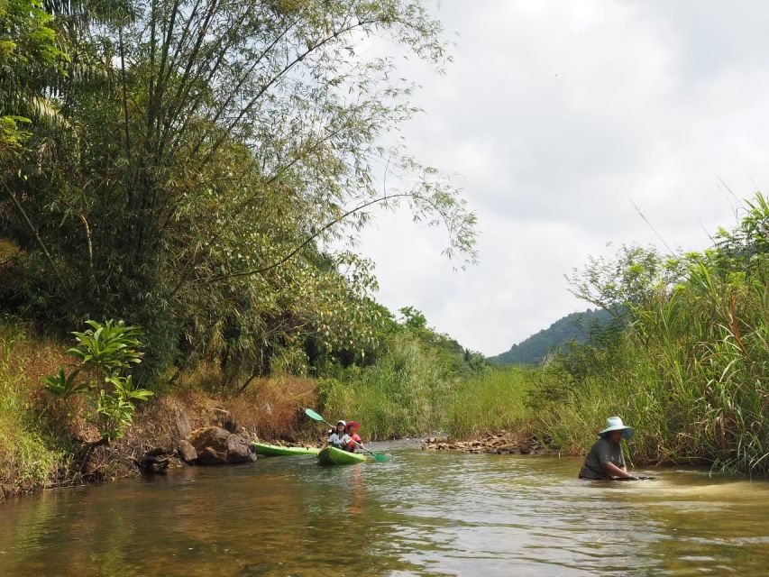 From Phuket & Khao Lak: River Kayak & Elephant Care - Phuket.Net