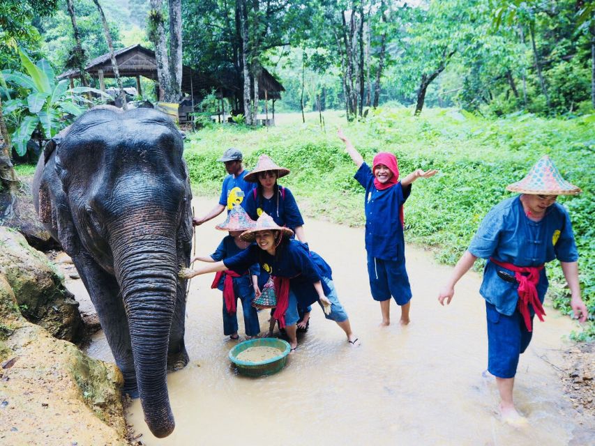From Phuket & Khao Lak: River Kayak & Elephant Care - Phuket.Net