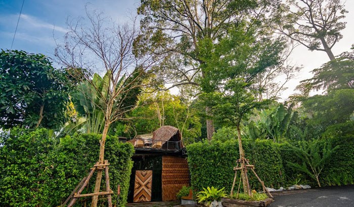 Three Monkeys: The New Phuket’s Dining Experience in Green Season ...