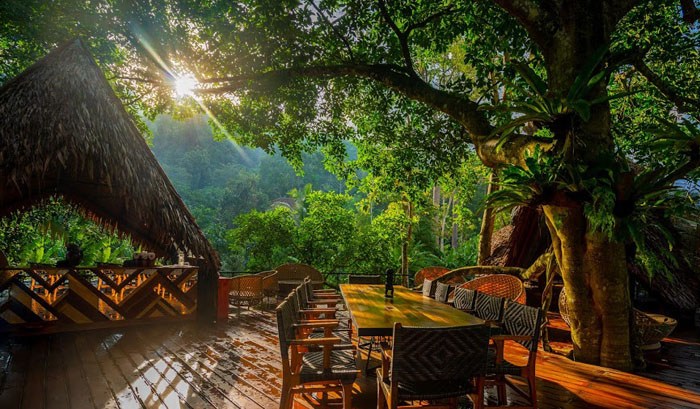 Three Monkeys: The New Phuket’s Dining Experience in Green Season ...