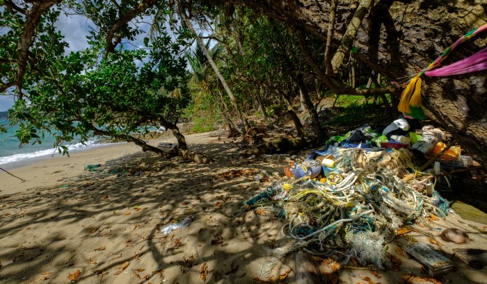 How To Be a Mindful Tourist in Phuket – Phuket.Net