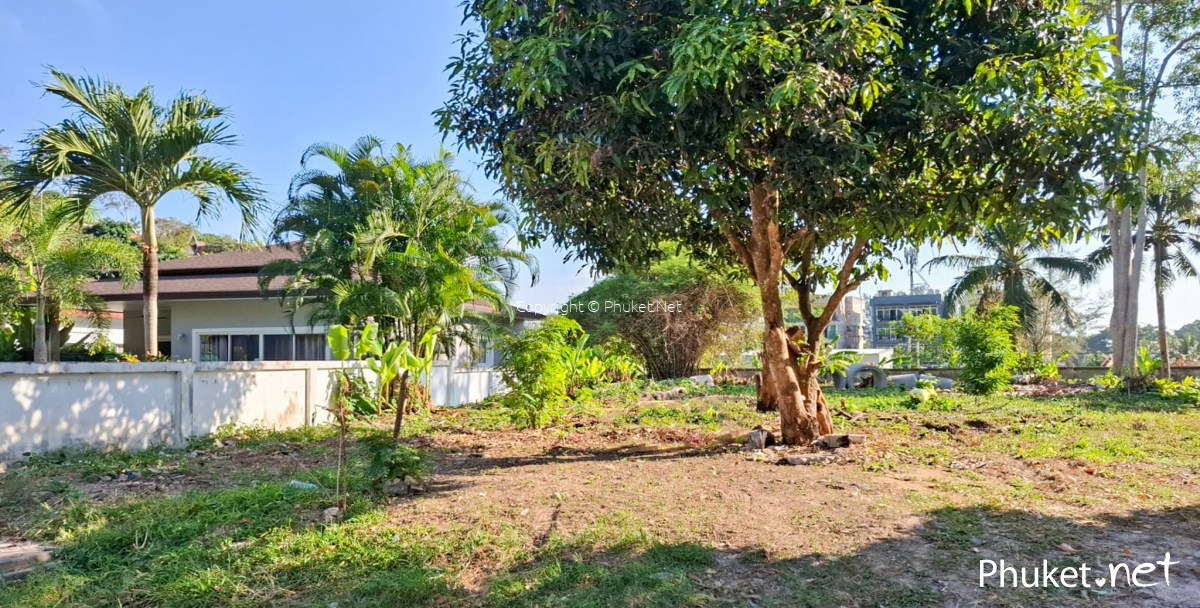 Flat Land for Sale in Kamala - Phuket Real Estate and Property For Sale ...