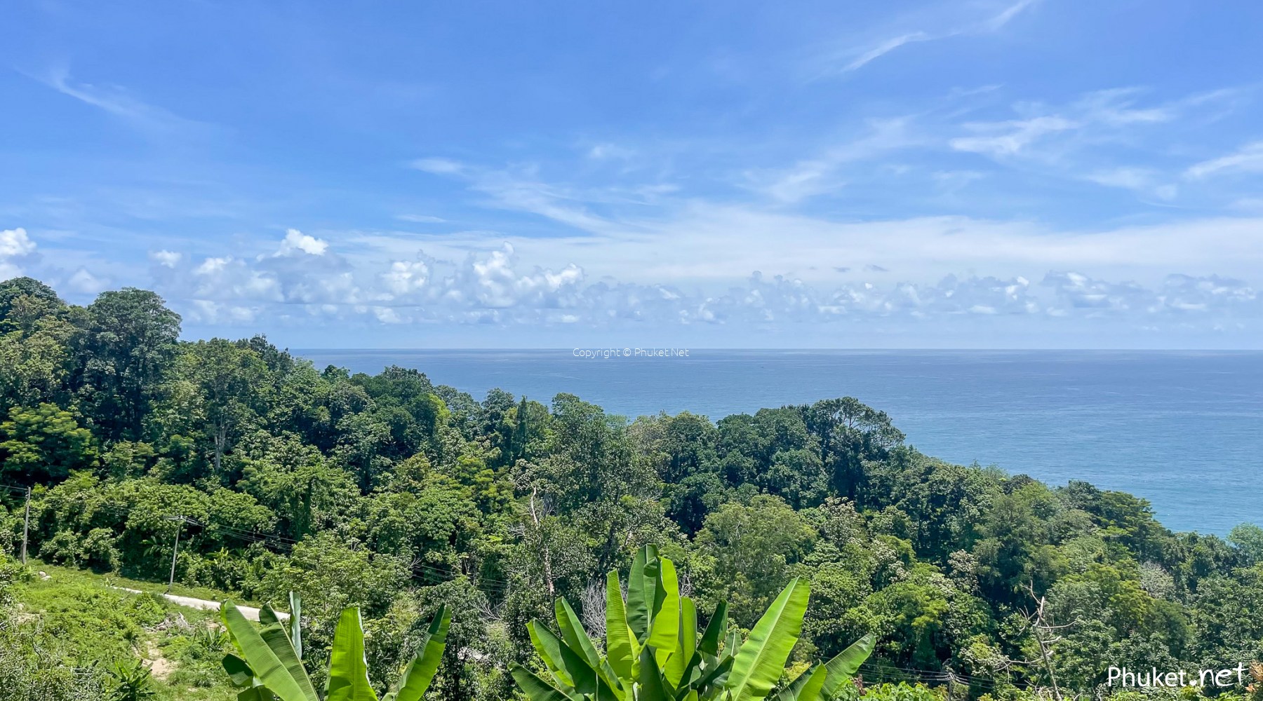 Rare Hillside Ocean View Land in Kamala - Phuket Real Estate and ...